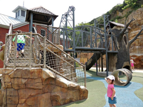 Teddy Bear Park - Family Fun Twin Cities